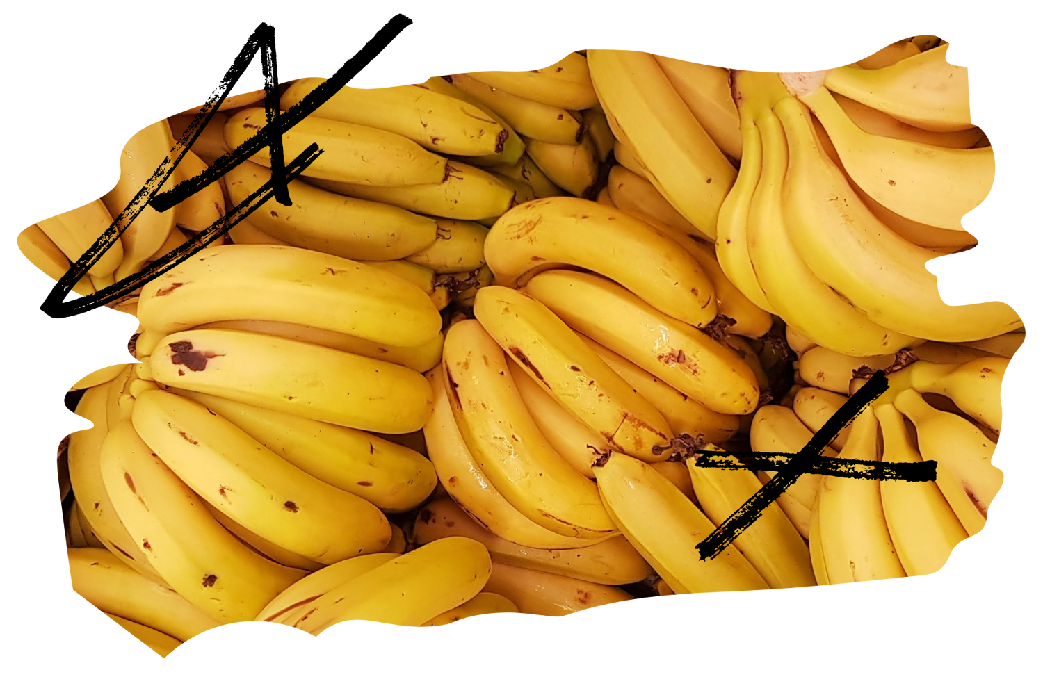 Our Story | Zero-Waste, Sustainable Spirits Distillery in the Swan Valley. – Damaged Goods ...